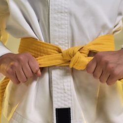 Why You Should Get Yellow Belt Training for Your Career Growth ...